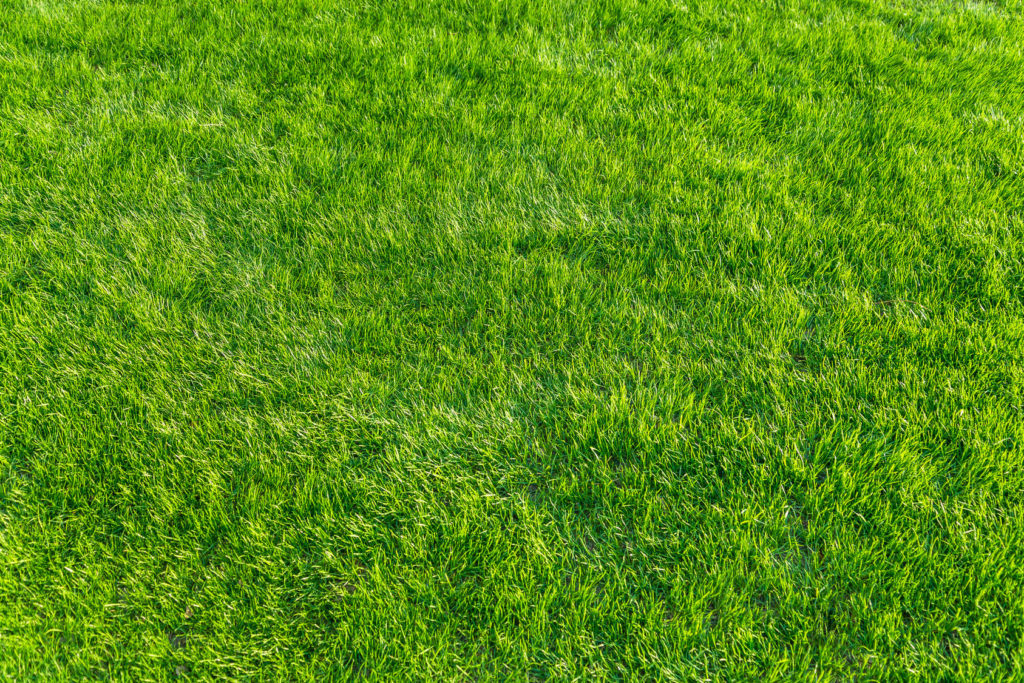 Michigan Turf Equipment